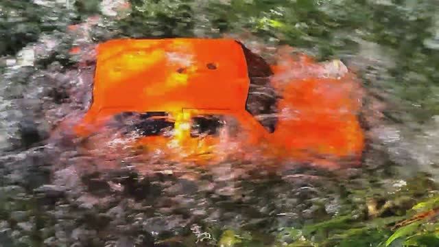 Удивительное сочетание цвета и движения