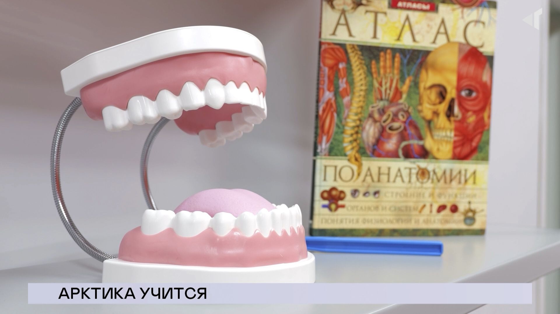 НОВОСТИ СЕВЕРНОГО ГОРОДА, 19.12.2025