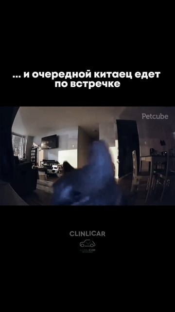 китаец #clinlicar #automobile #автоподборспб #автоподбормосква