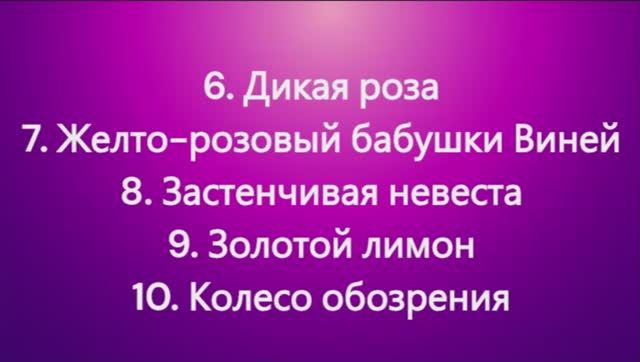 Наборы семян  томатов. БОЛЬШИЕ СКИДКИ!. Часть 1. т. 89229284031