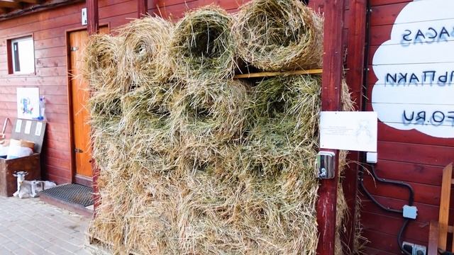 Животноводство