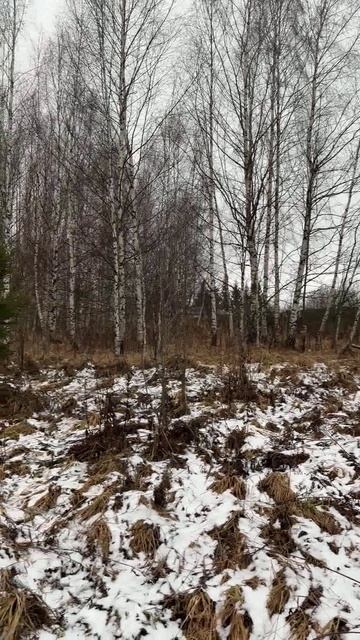 АКЦИЯ!!! 30% скидка!!! Продается участок 25 соток в д.Бакино, Александровский р-н, Владимирская обл.