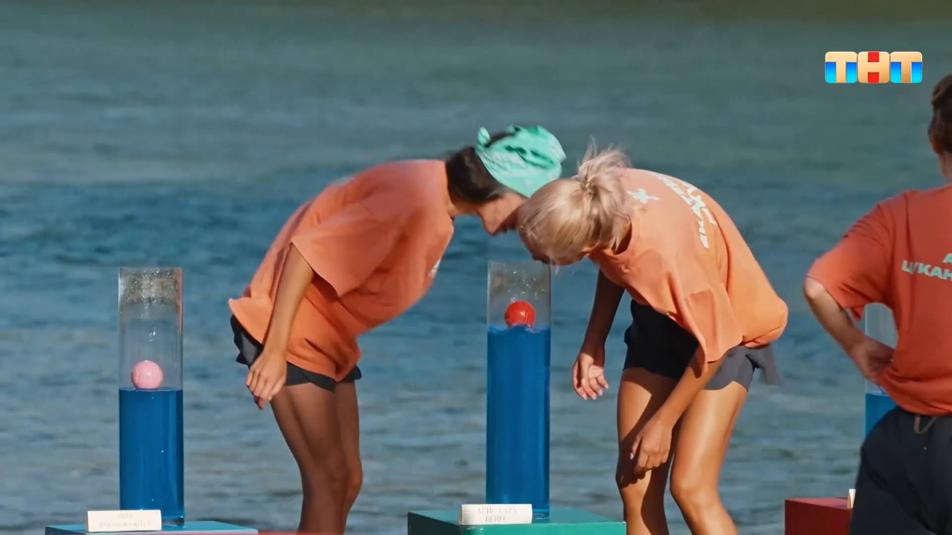 Испытание на иммунитет показало, кого лагерь хочет выгнать острова