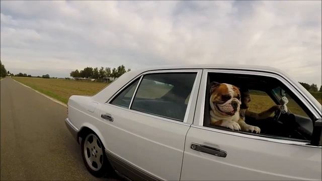 horn & bermann - Late Summer (Official Music Video)