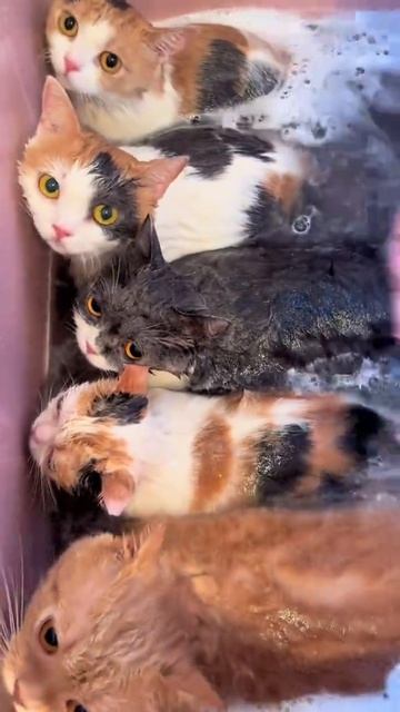 В тесноте, да не в обиде