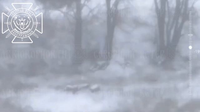 Движение не смотря на смерть. СВО.