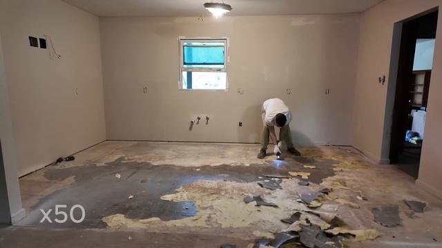 Крашу СТЕНЫ. Какой ЦВЕТ выбрали？ Викторина, газон (Rastorguev 🏡)