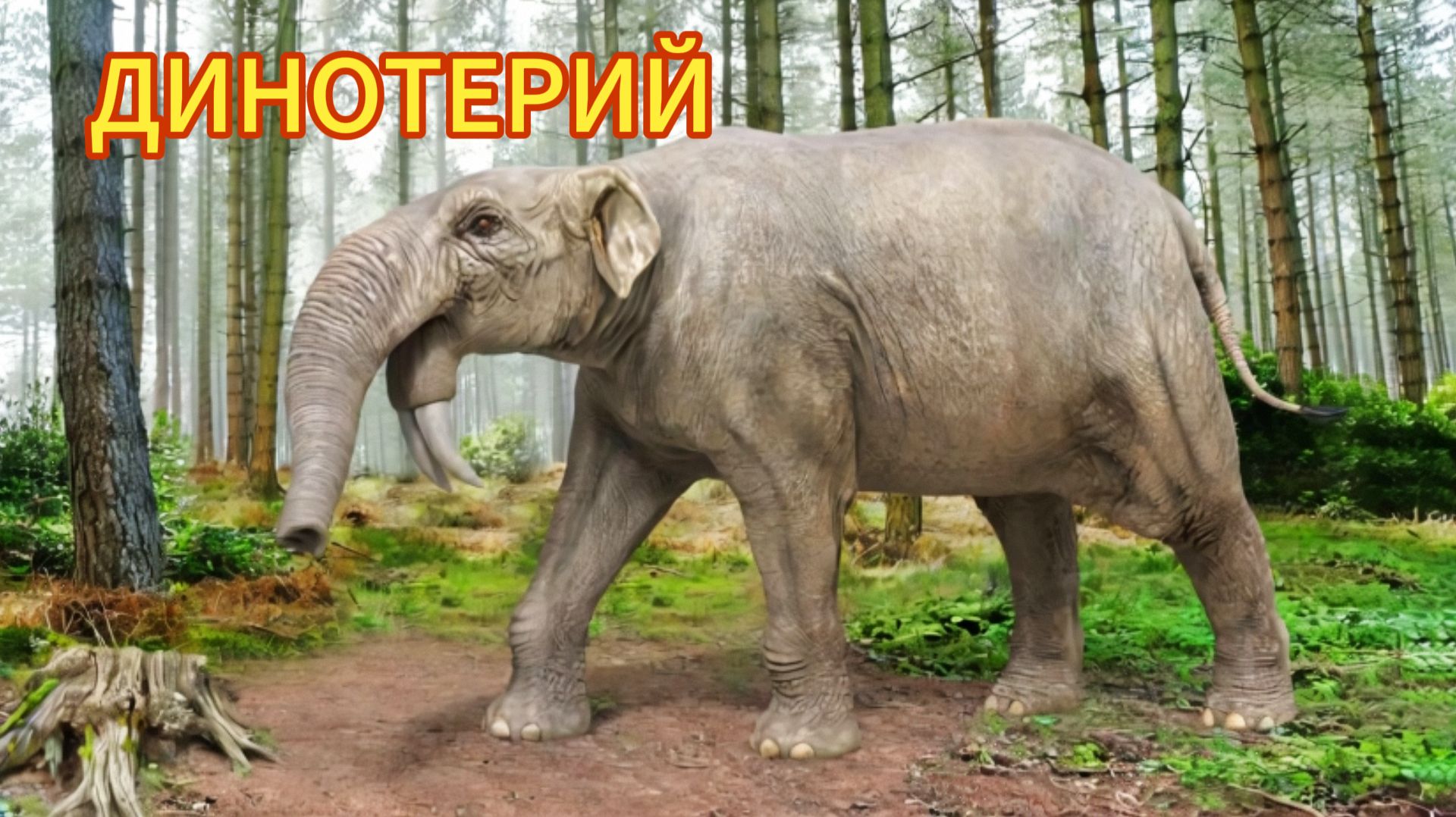 Динотерий. Загадочный древний слон с бивнями на подбородке