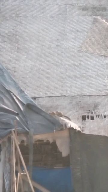 Бурундуки. Игры