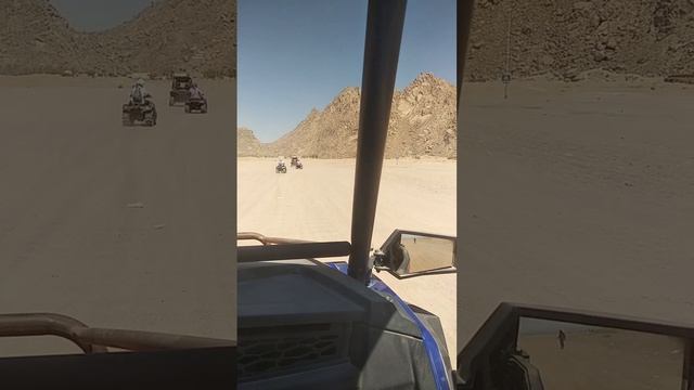 Египет 2025 _сафари