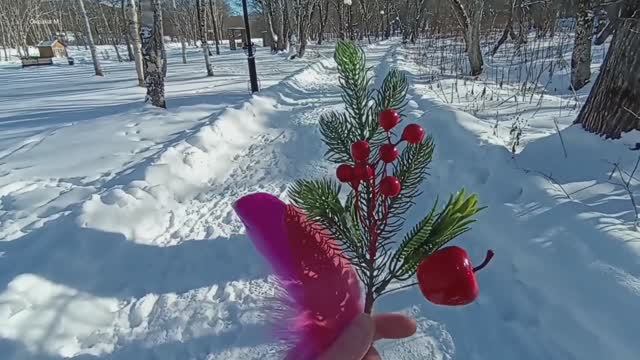 Прогулялась по парку с новой вышитой лошадкой.mp4