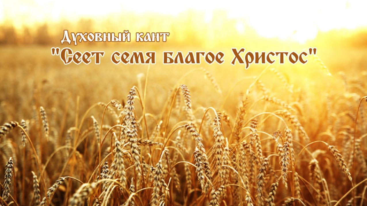 ♬ Сеет семя благое Христос (исп. и муз. Светлана Щитникова, сл. Сергей Чебунин)