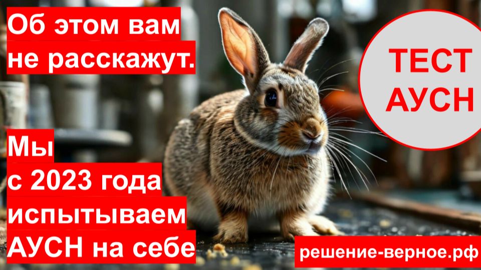 Как не платить НДС в 2026 году? АУСН для микро бизнеса с 5 сотрудниками и выручкой 60 миллионов