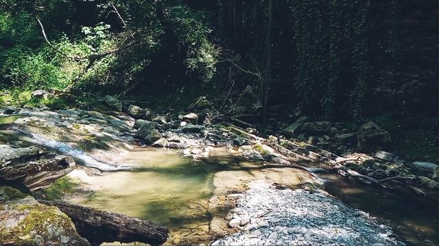 "От реки до моря"