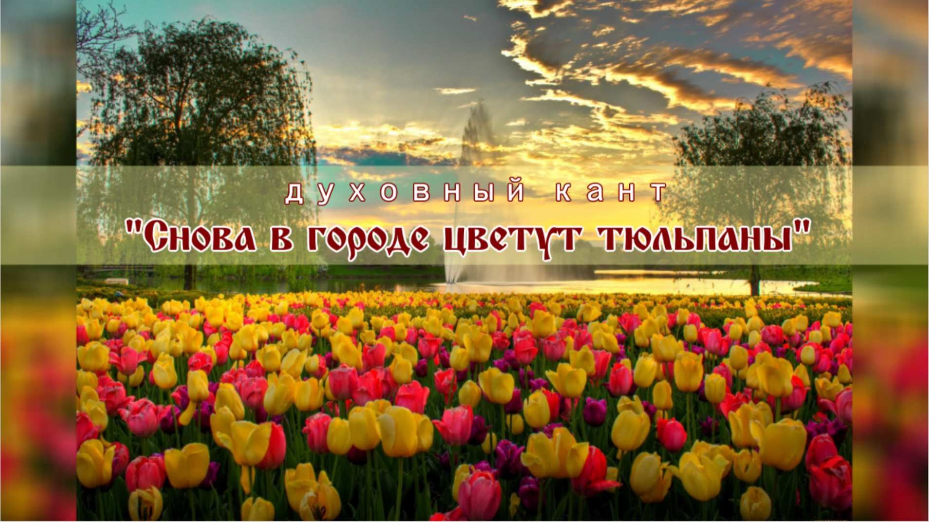 ♬ Снова в городе цветут тюльпаны (исп. и муз. Светлана Щитникова, сл. Сергей Чебунин)
