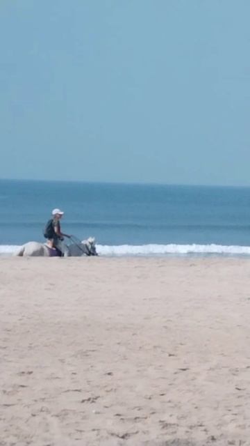 ГОА. Конные прогулки