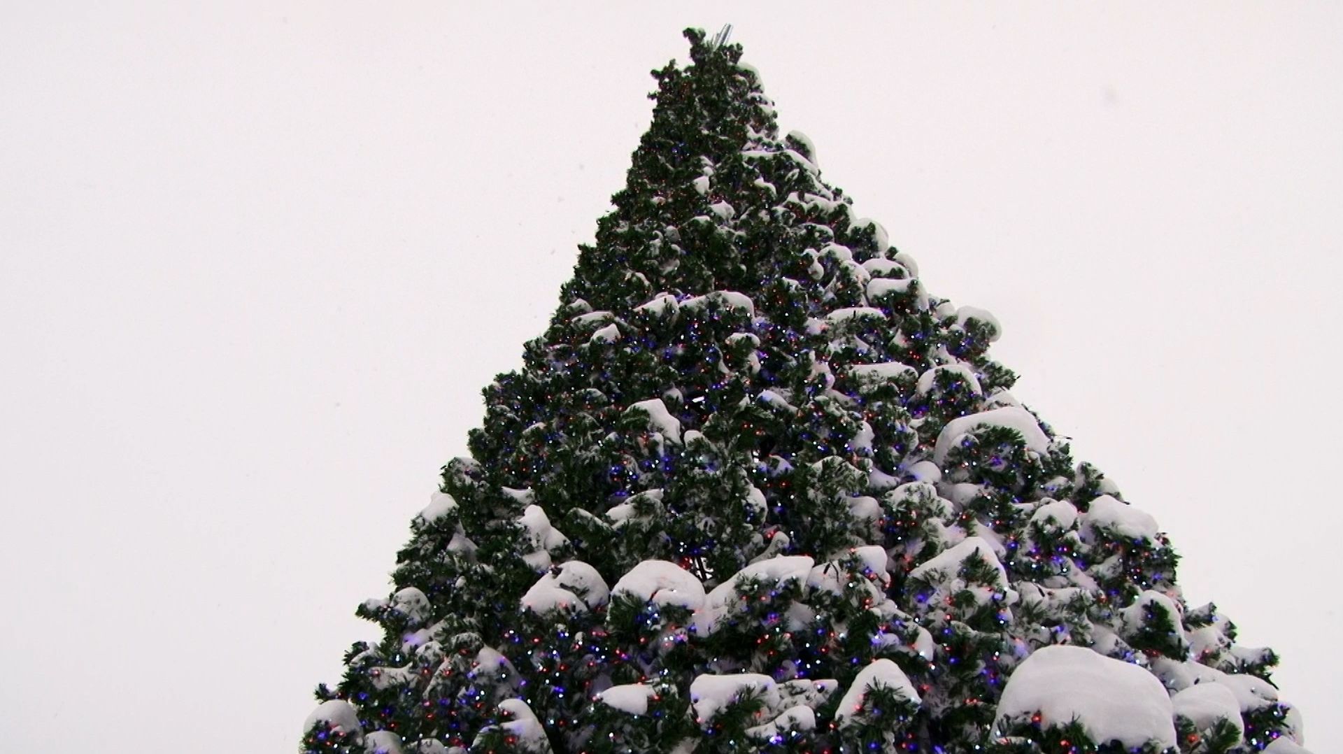 В Охе зажгли главную новогоднюю ёлку: со снегом, хороводами и подарками