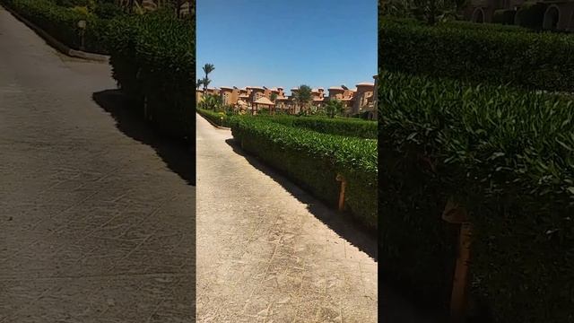 Египет 2025 _отель