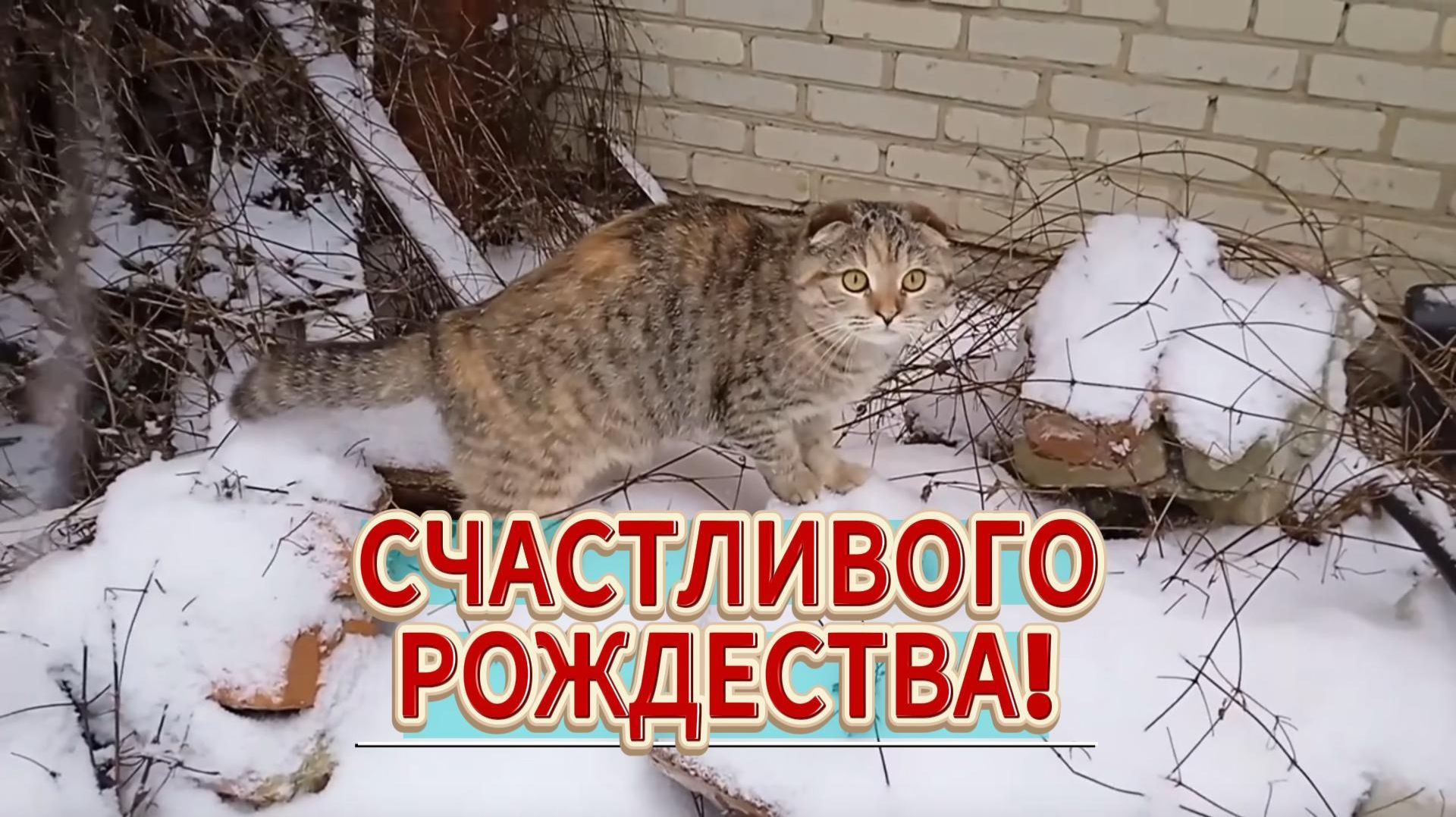 Счастливого Рождества! Музыкальное поздравление