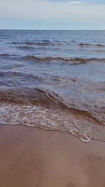 Карелия 2025. Пляжи Видлицы. Июль 2025г (Часть 15)