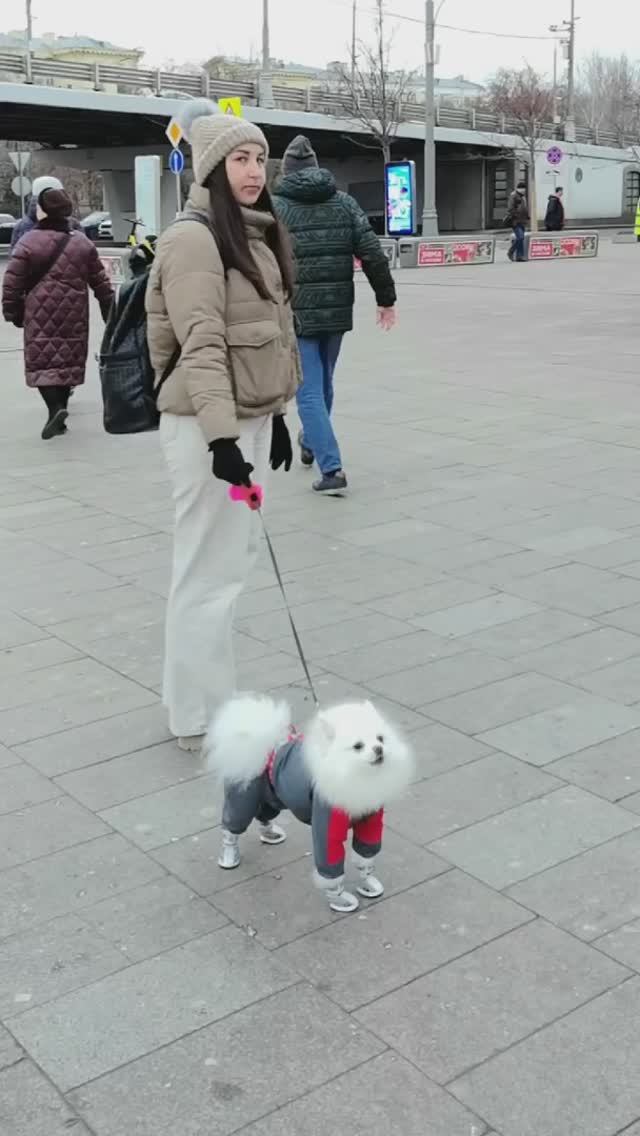 Утреннее настроение 64 / Morning mood 64 ☀️☀️☀️#доброеутро #goodmorning #москва #зима