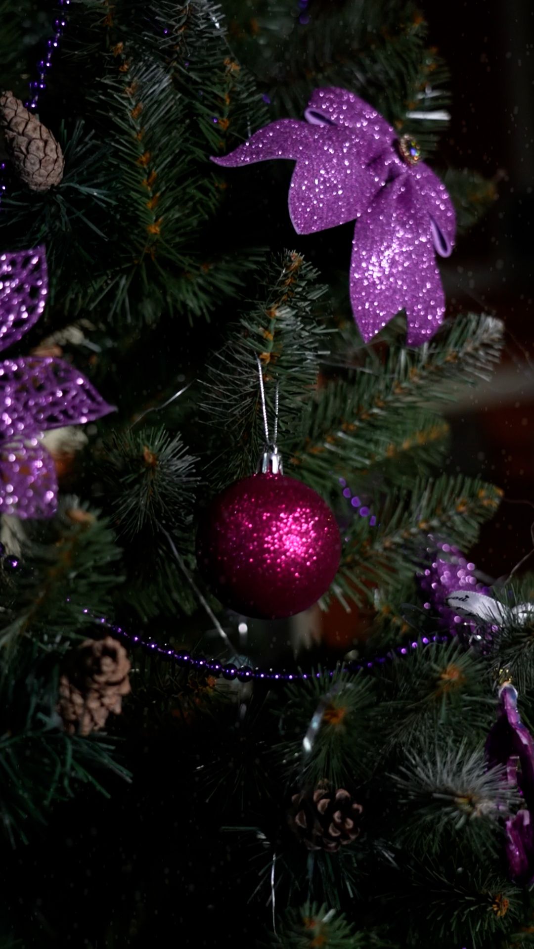 Новогодняя ёлка Высшей школы права Университета имени О.Е. Кутафина (МГЮА)