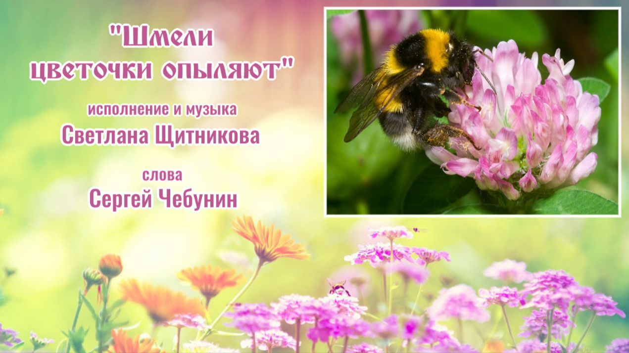 ♬ Шмели цветочки опыляют (исп. и муз. Светлана Щитникова, сл. Сергей Чебунин)