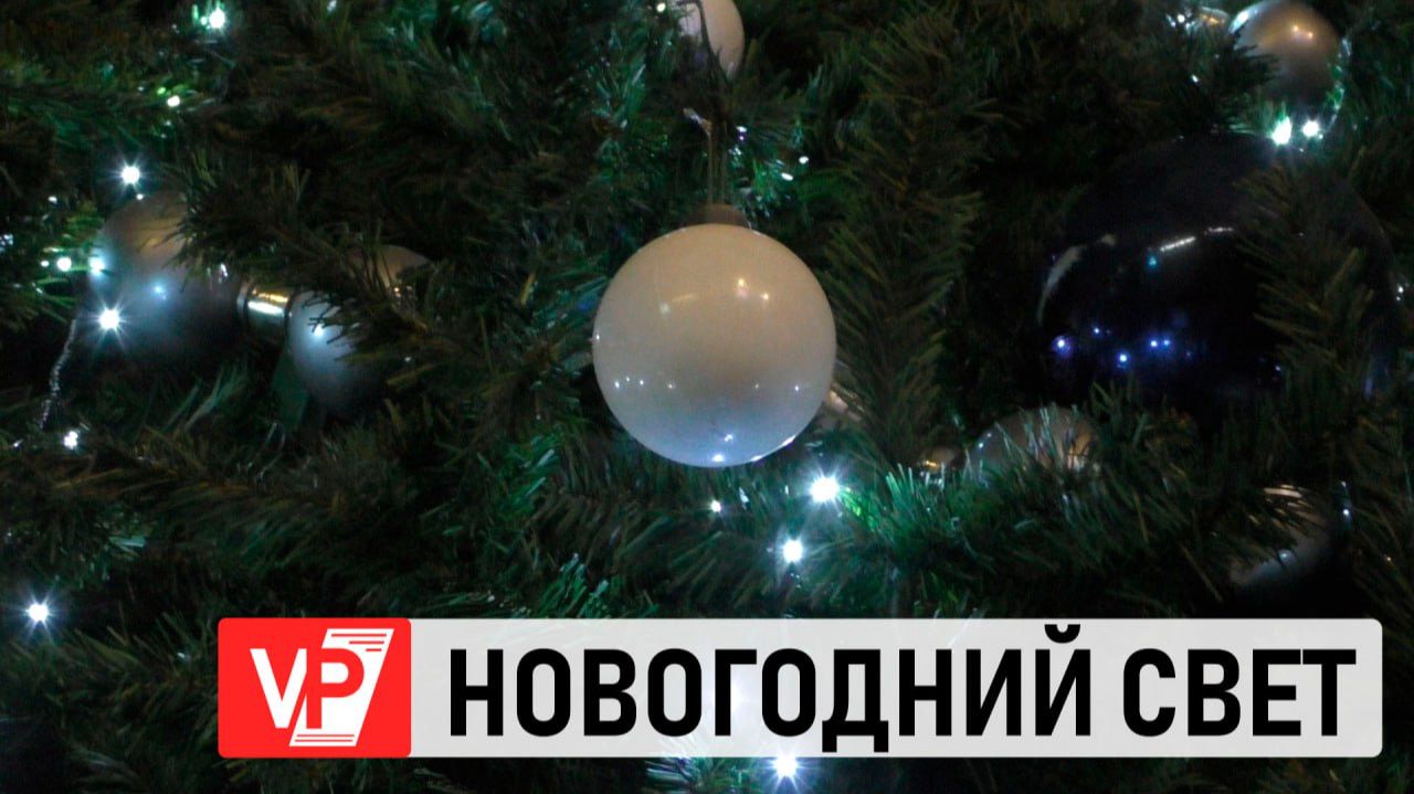 В ЦПКИО ЗАЖГЛИ ГИРЛЯНДЫ НА НОВОГОДНЕЙ ЕЛКЕ
