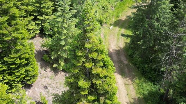 Как мы начали строить дом в лесу в Америке. С чего всё н