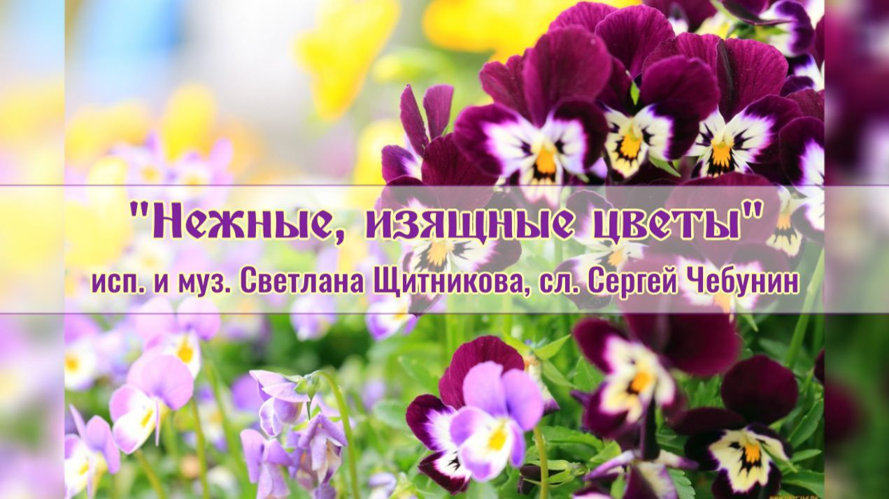 ♬ Нежные, изящные цветы (исп. и муз. Светлана Щитникова, сл. Сергей Чебунин)