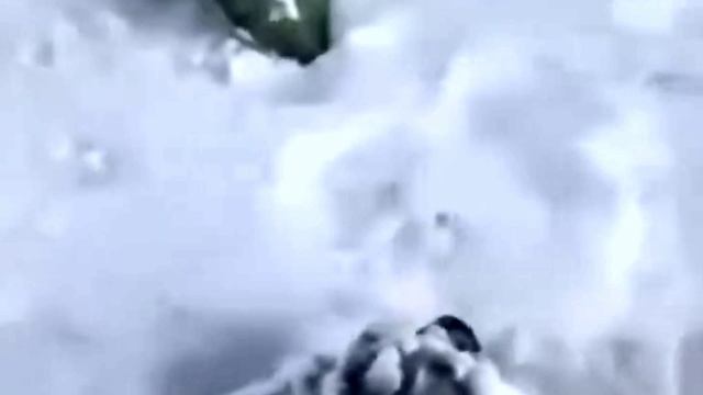 В Иране овец полностью завалило снегом