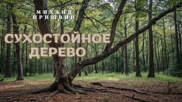 Михаил Пришвин Сухостойное дерево