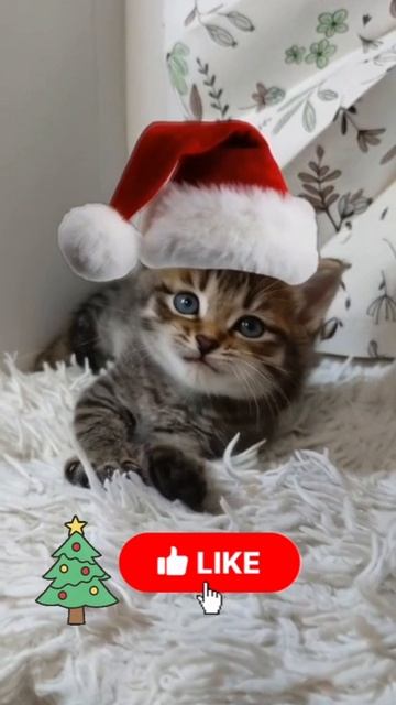 Расскажи, Снегурочка, где была?