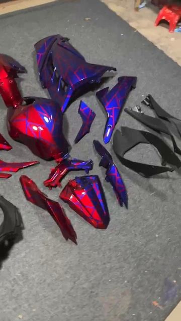 г. Томск Kawasaki Ninja 300/Ninja 250 2013-2017 ||| мотопластик.рф