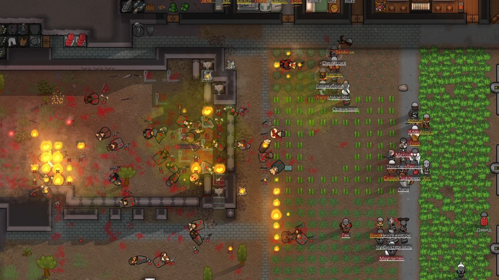 Торговля генными пакетами RimWorld #81