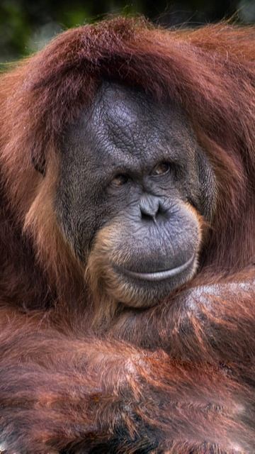 Какой-то ты подозрительный