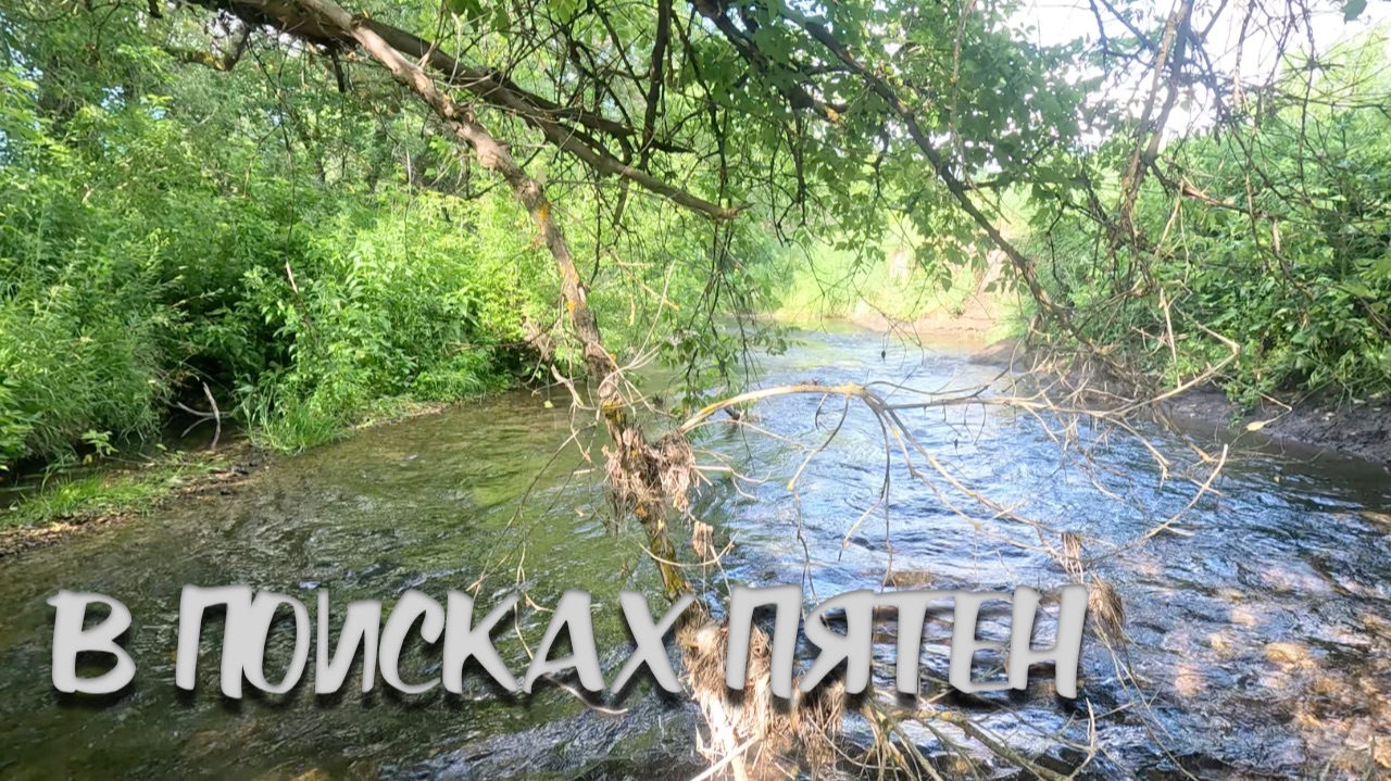 В поисках пятен