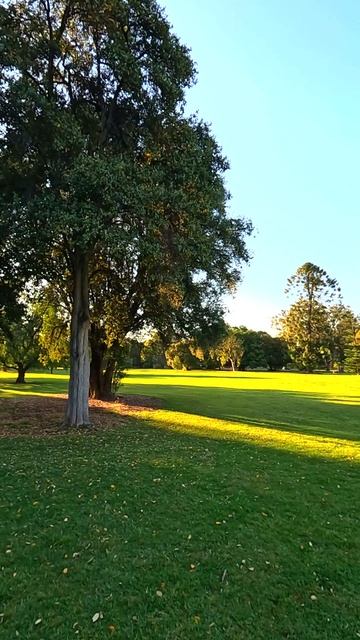 Летний городской парк пожалуй самое лучшее место для семейного отдыха на природе..