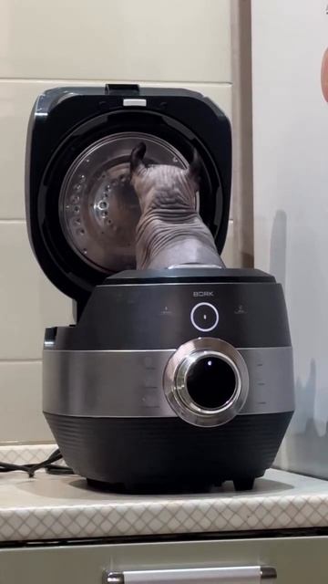 Он готов ко всему