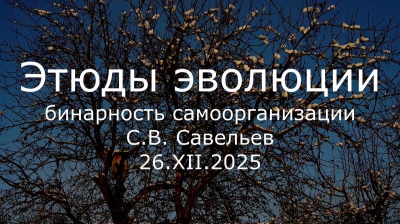 С.В. Савельев - Этюды эволюции. Бинарность самоорганизации