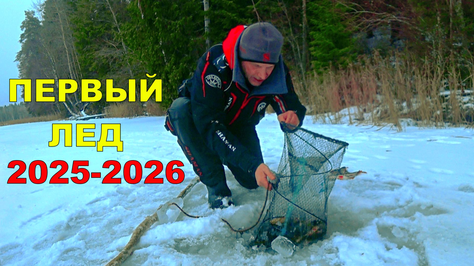 Рыбалка на жерлицы. Бешеный клев окуня на блесну и безмотылку. Первый лед окреп. Зимняя рыбалка 2025