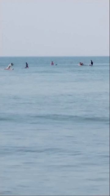 ГОА. Школа сёрфинга