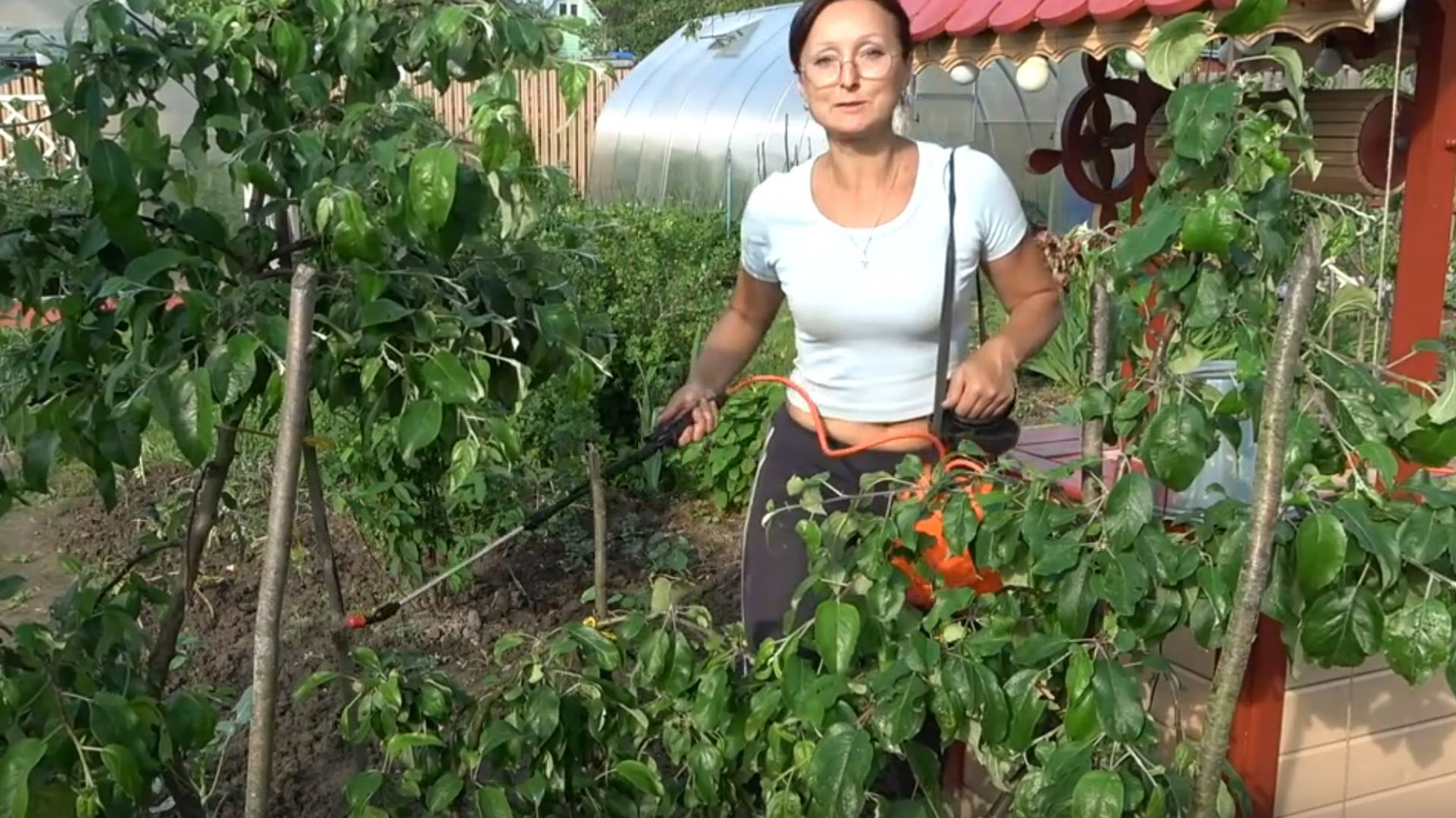 6 соток в июне 2021 года. Обрабатываю розы и облепиху Елизавета от тли...