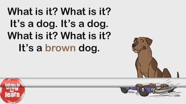 What is it? It is a bag! Song