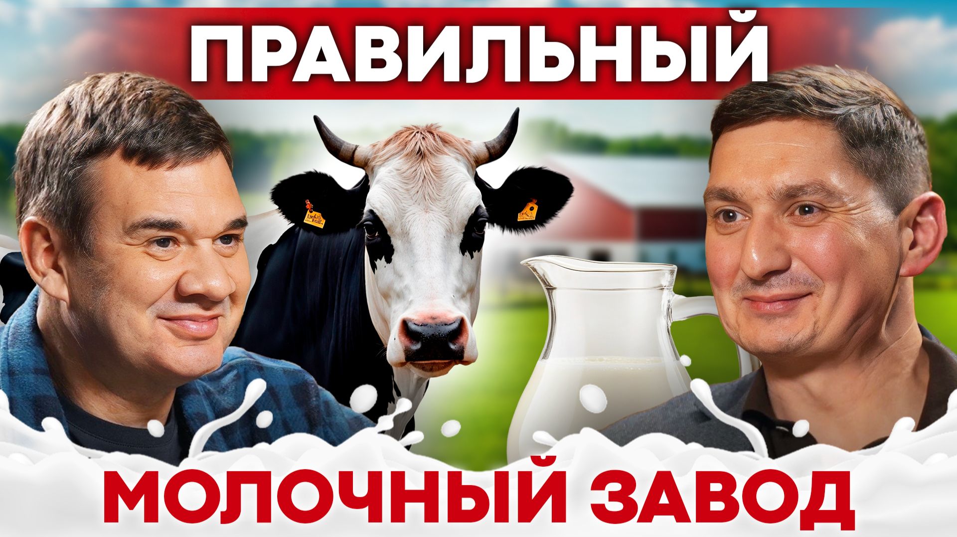 Как устроена современная молочная ферма: от коровы до полки магазина. Советы фермерам | Своя еда