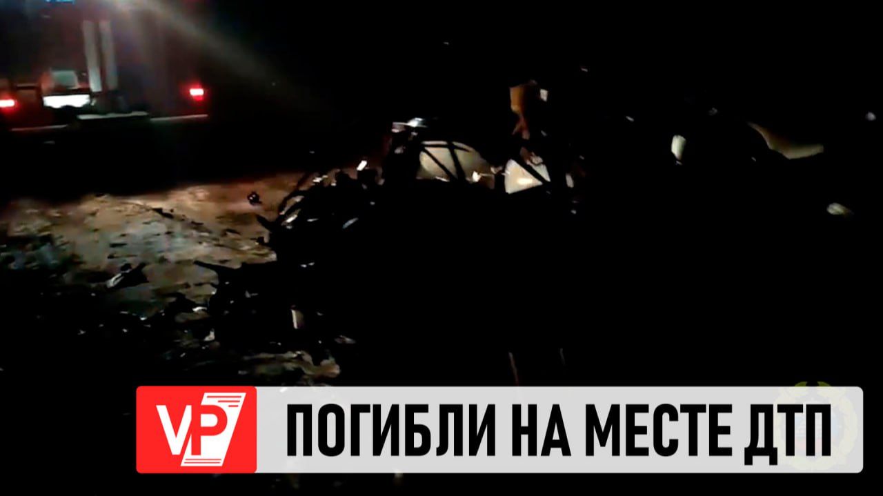 ДВА ЧЕЛОВЕКА ПОГИБЛИ В ДТП НА ТРАССЕ В ВОЛГОГРАДСКОЙ ОБЛАСТИ