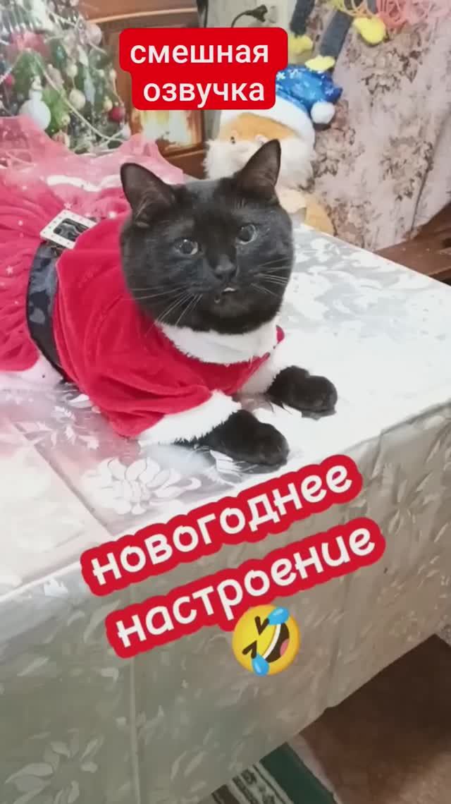 Новогодний юмор.