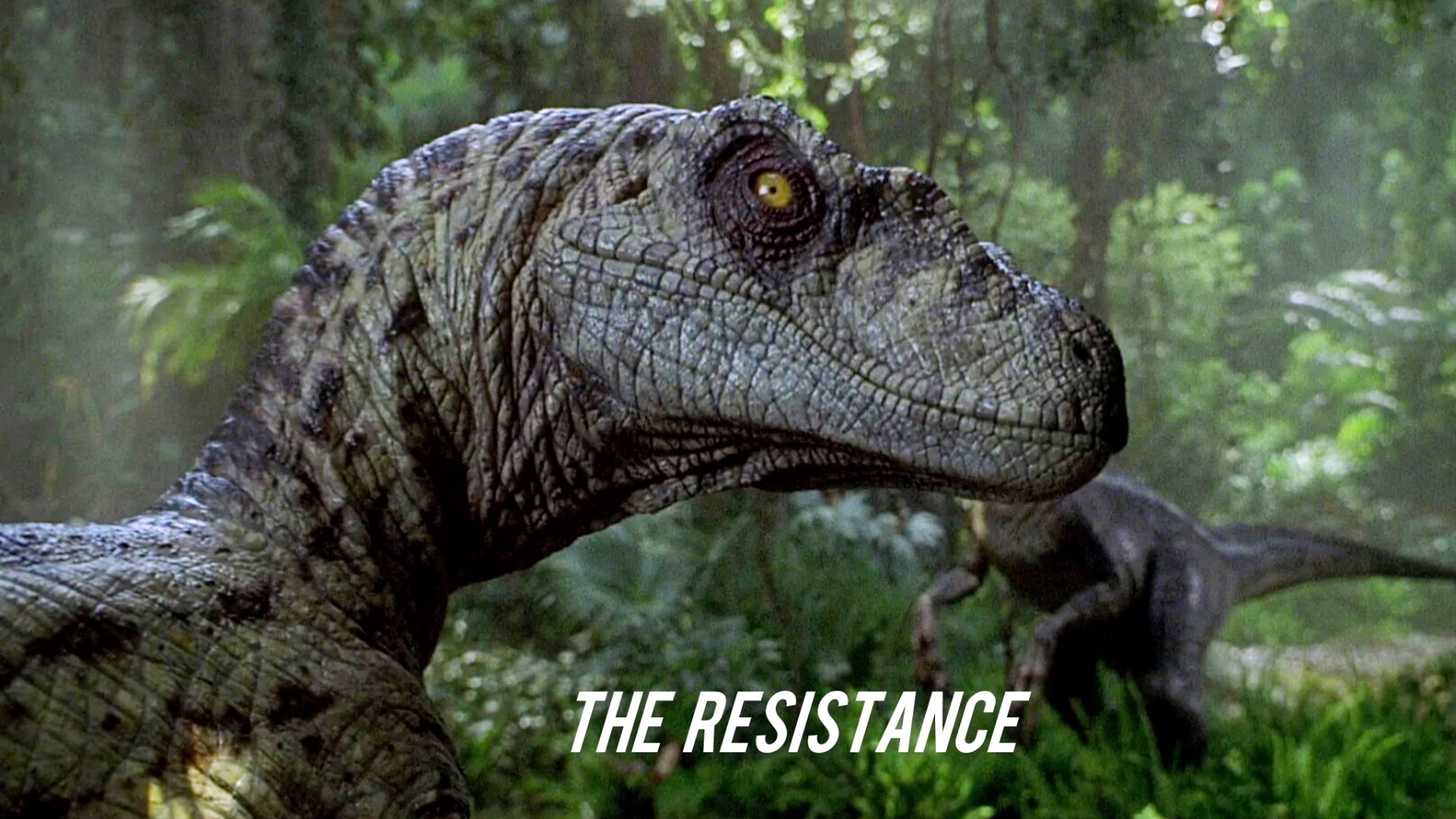 Raptor Tribute Skillet - The Resistance