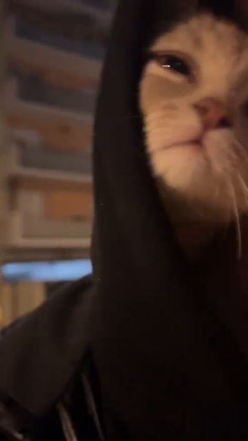 Как же это мило