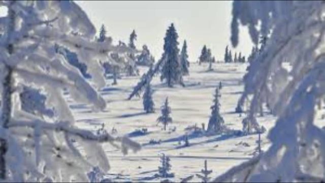 22 декабря - Анна Темная.Народные приметы и обычаи